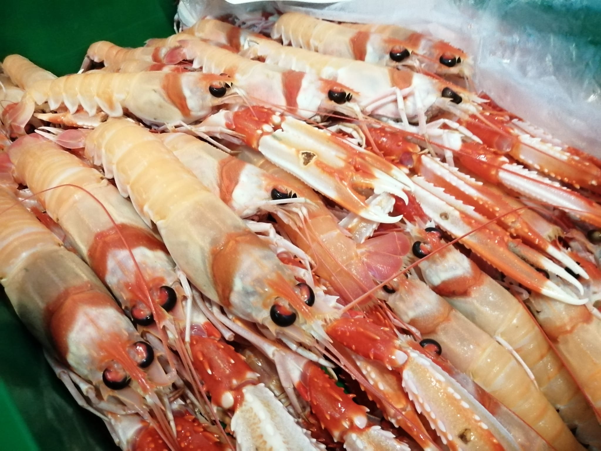 Como cocer Cigalas para que queden perfectas - Mariscos de Huelva a ...